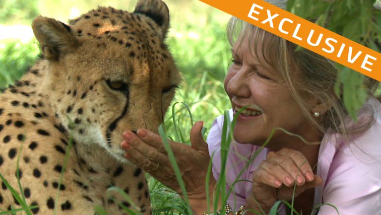 I created the Repair Café - Shamengo